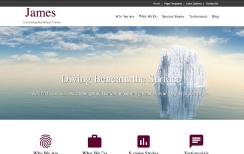 James: Consulting WordPress Theme